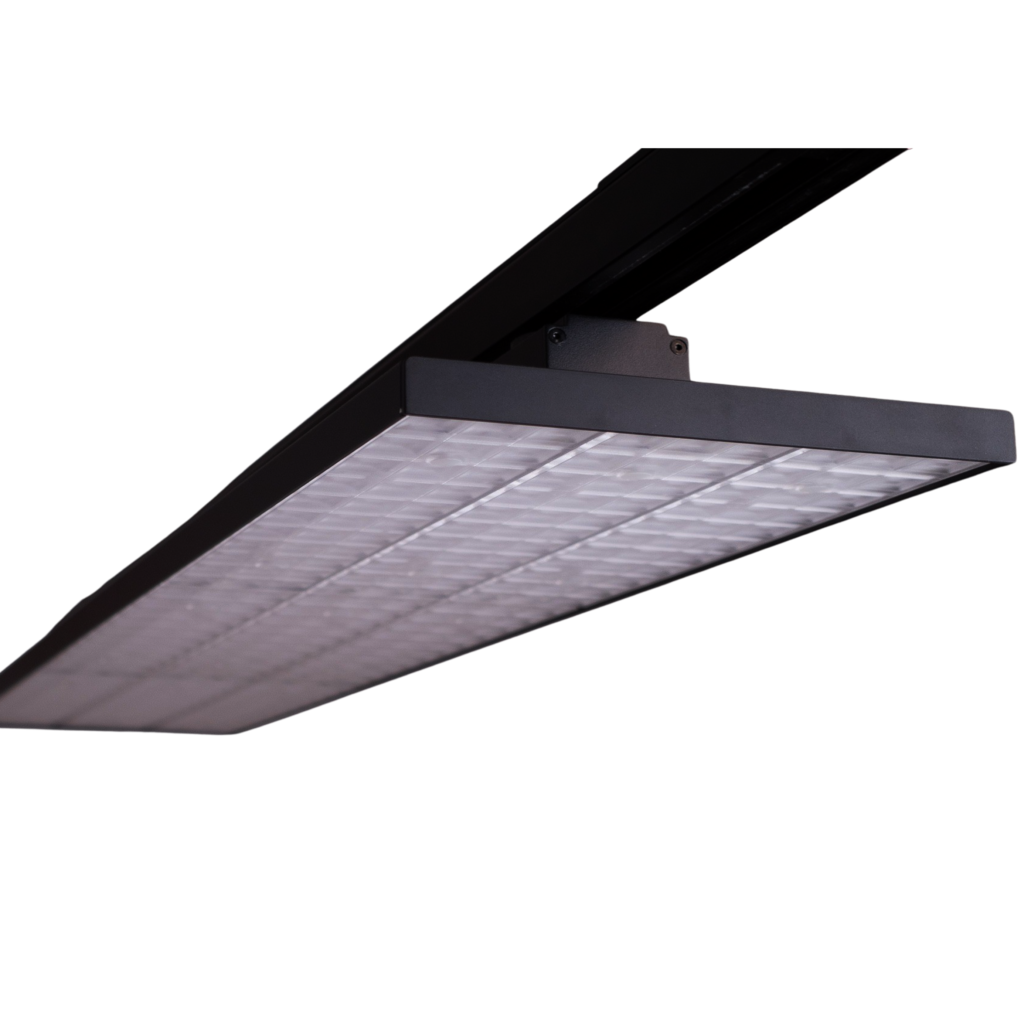 Pharos Track Panel | Lightning Thief